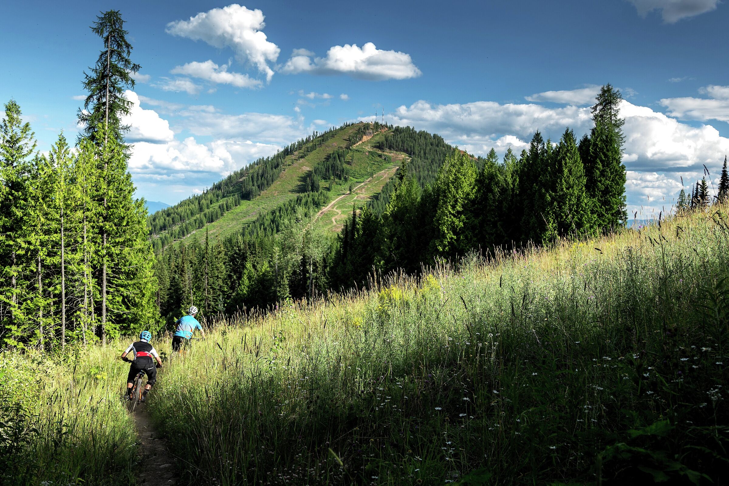 RED Mountain - SkiBC