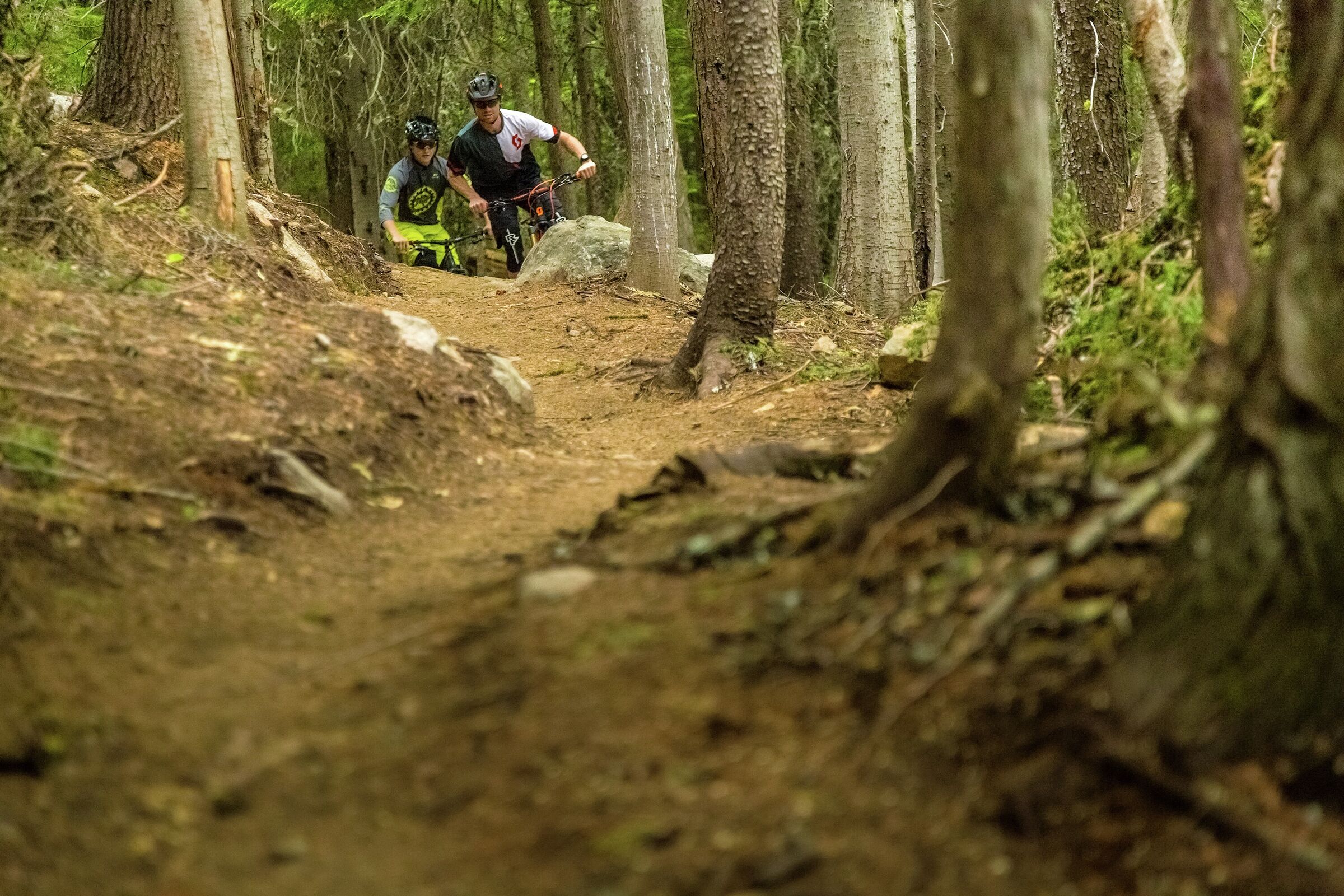 RED Mountain - SkiBC