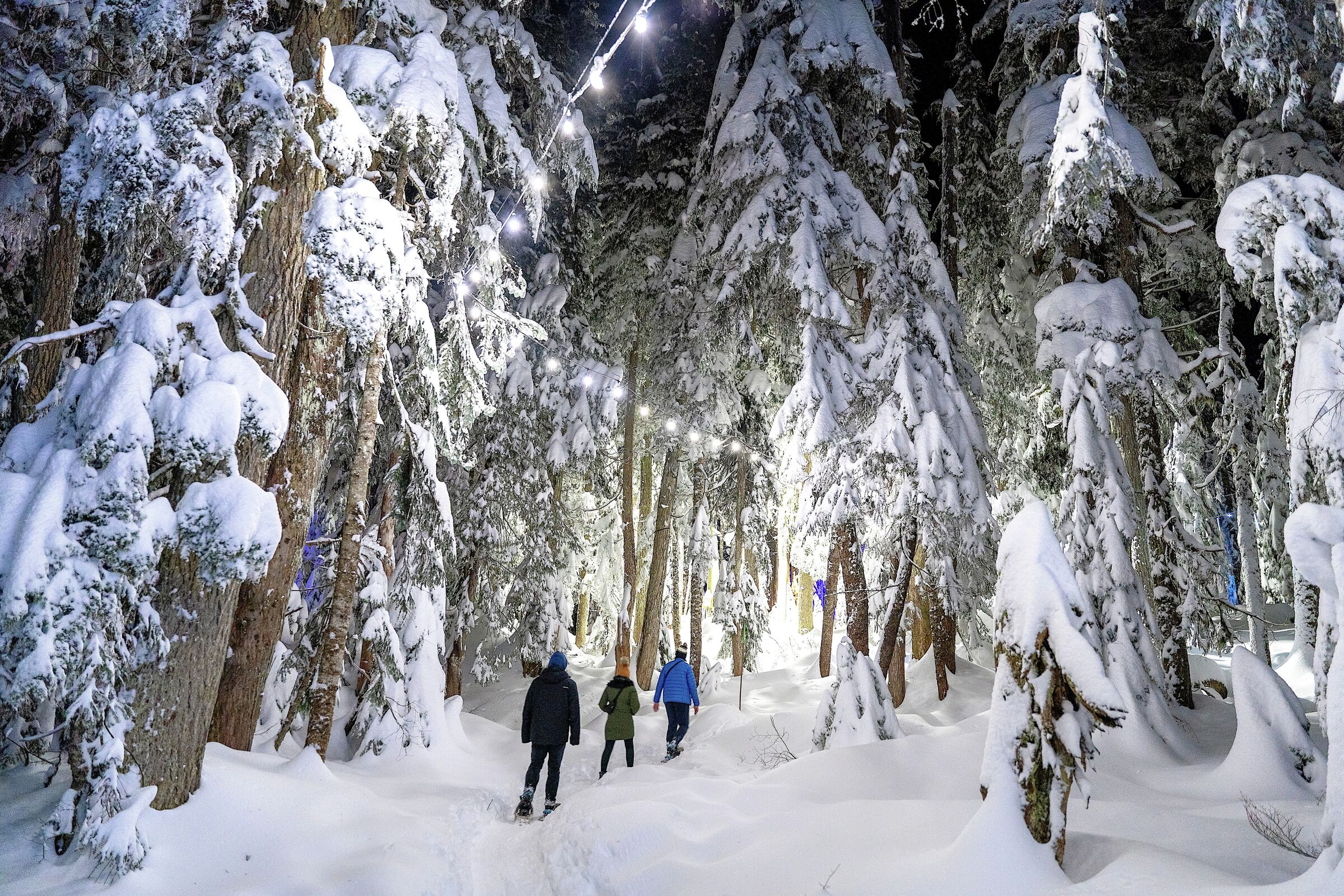 Cypress Mountain Ski Resort | British Columbia - SkiBC