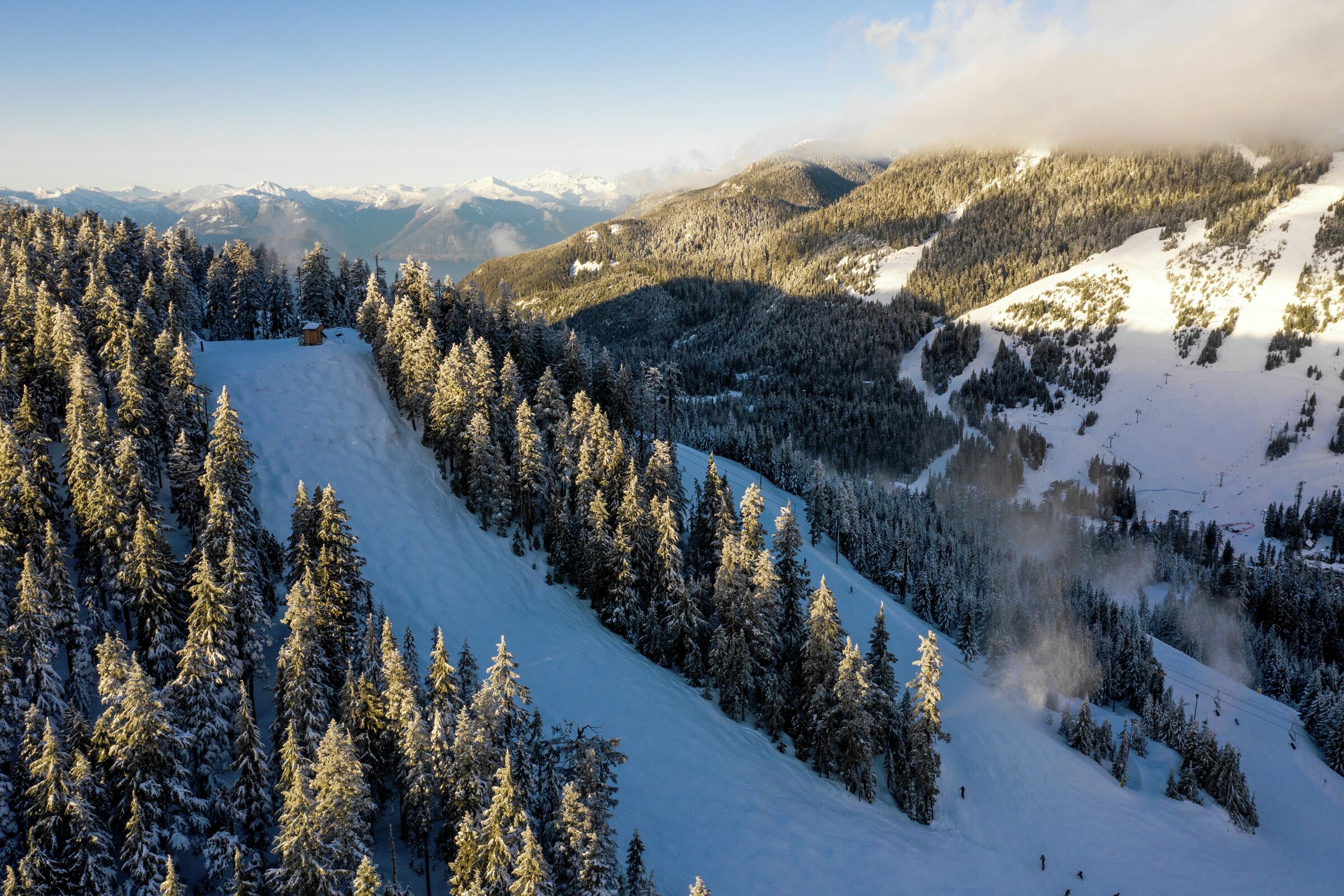 Cypress Mountain Ski Resort | British Columbia - SkiBC