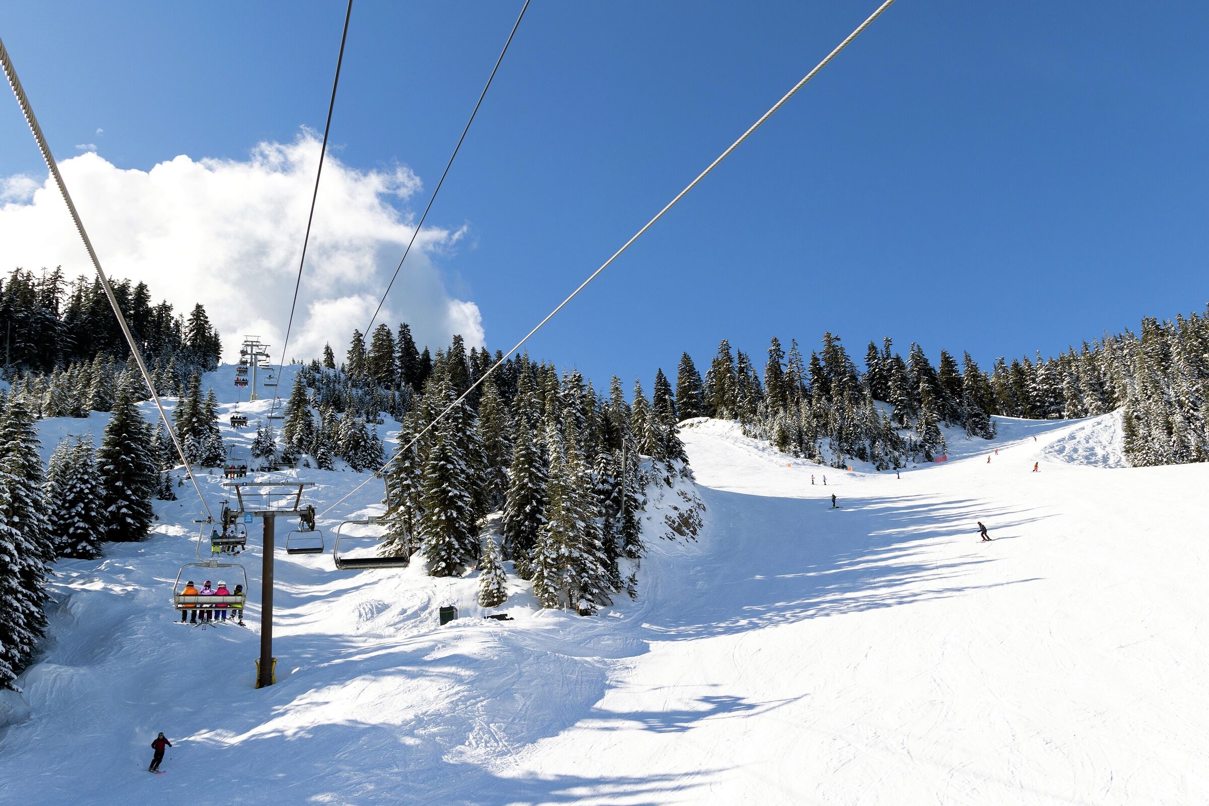 Cypress Mountain Ski Resort | British Columbia - SkiBC